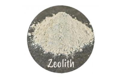 Zéolithe Clinoptilolite Prémium